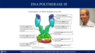 LECTURE DNA replication and Polymerases-1.pptx
