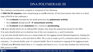 LECTURE DNA replication and Polymerases-1.pptx