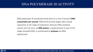 LECTURE DNA replication and Polymerases-1.pptx