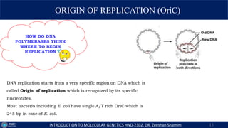 LECTURE DNA replication and Polymerases-1.pptx