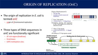 LECTURE DNA replication and Polymerases-1.pptx