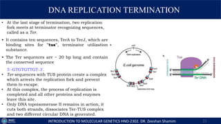 LECTURE DNA replication and Polymerases-1.pptx