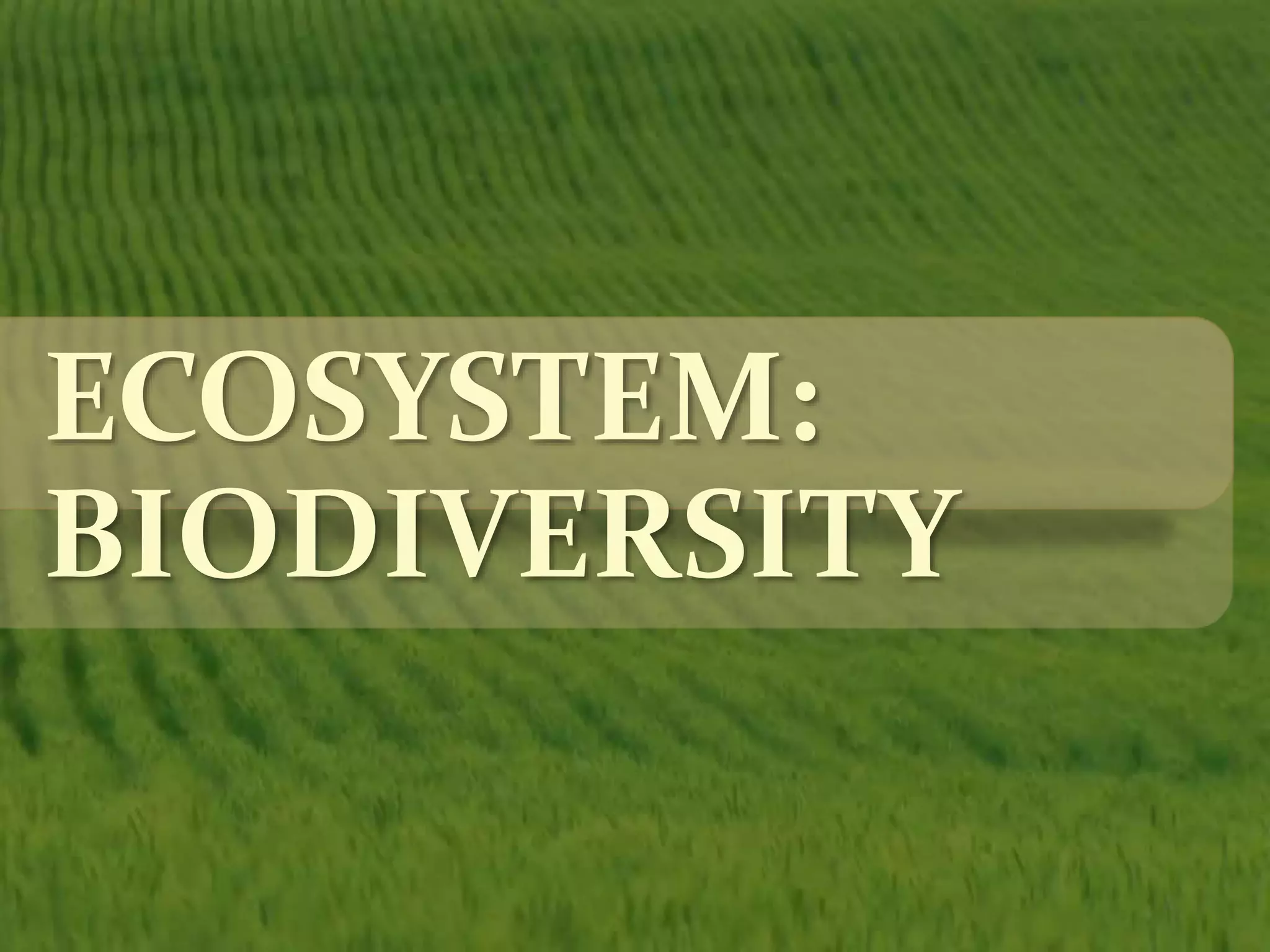 Science G10 3rd Q Ecosystem and Biodiversity | PPTX