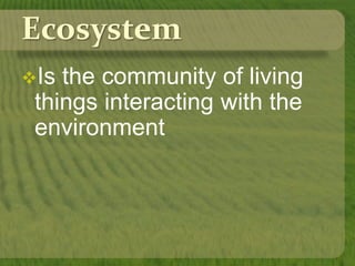 Science G10 3rd Q Ecosystem and Biodiversity | PPTX