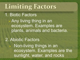 Limiting Factors In An Ecosystem Examples