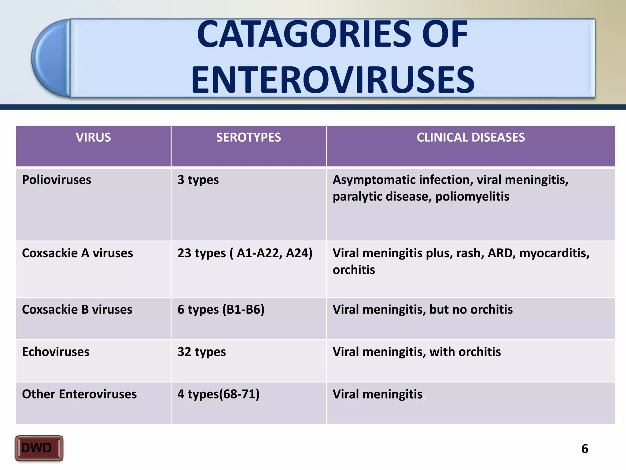 Lecture enteroviruses | PPTX