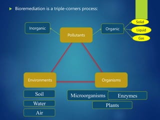 Lecture Environmental Biotechnology, Bioremediation 24-12-2019.ppt