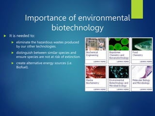 Lecture Environmental Biotechnology, Bioremediation 24-12-2019.ppt