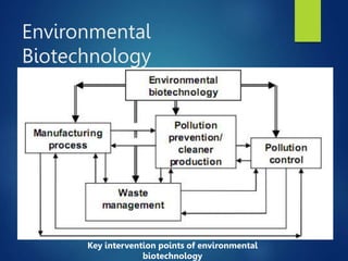 Lecture Environmental Biotechnology, Bioremediation 24-12-2019.ppt ...