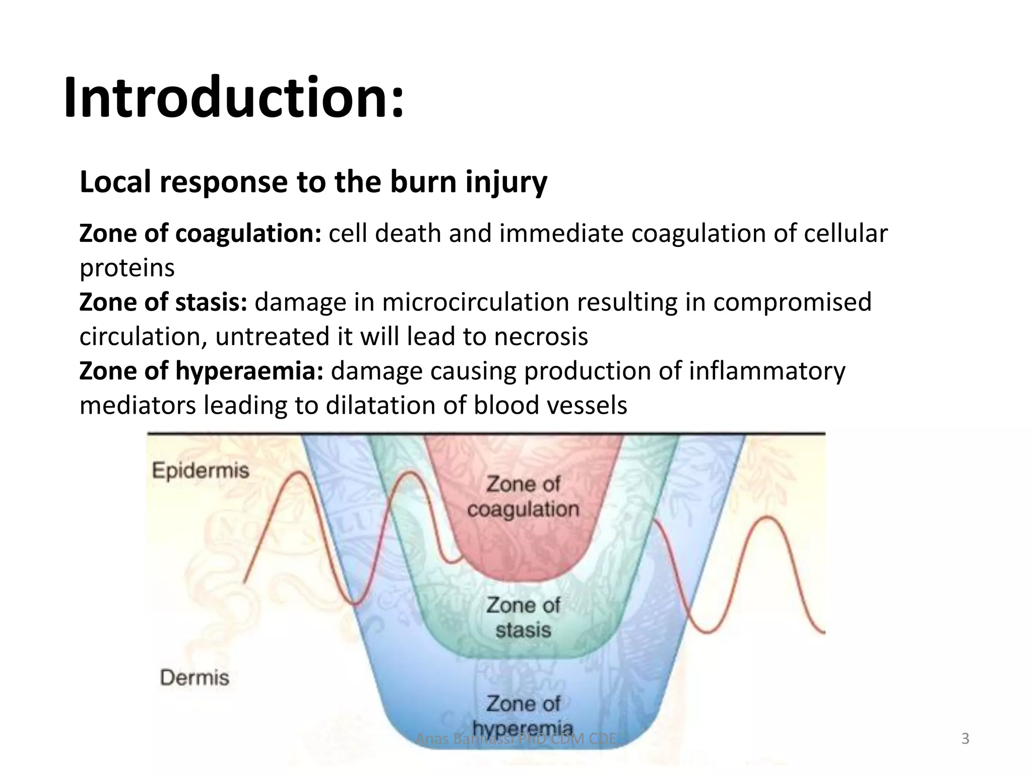 Lecture four burns first Aid | PDF | First Aid | Injuries