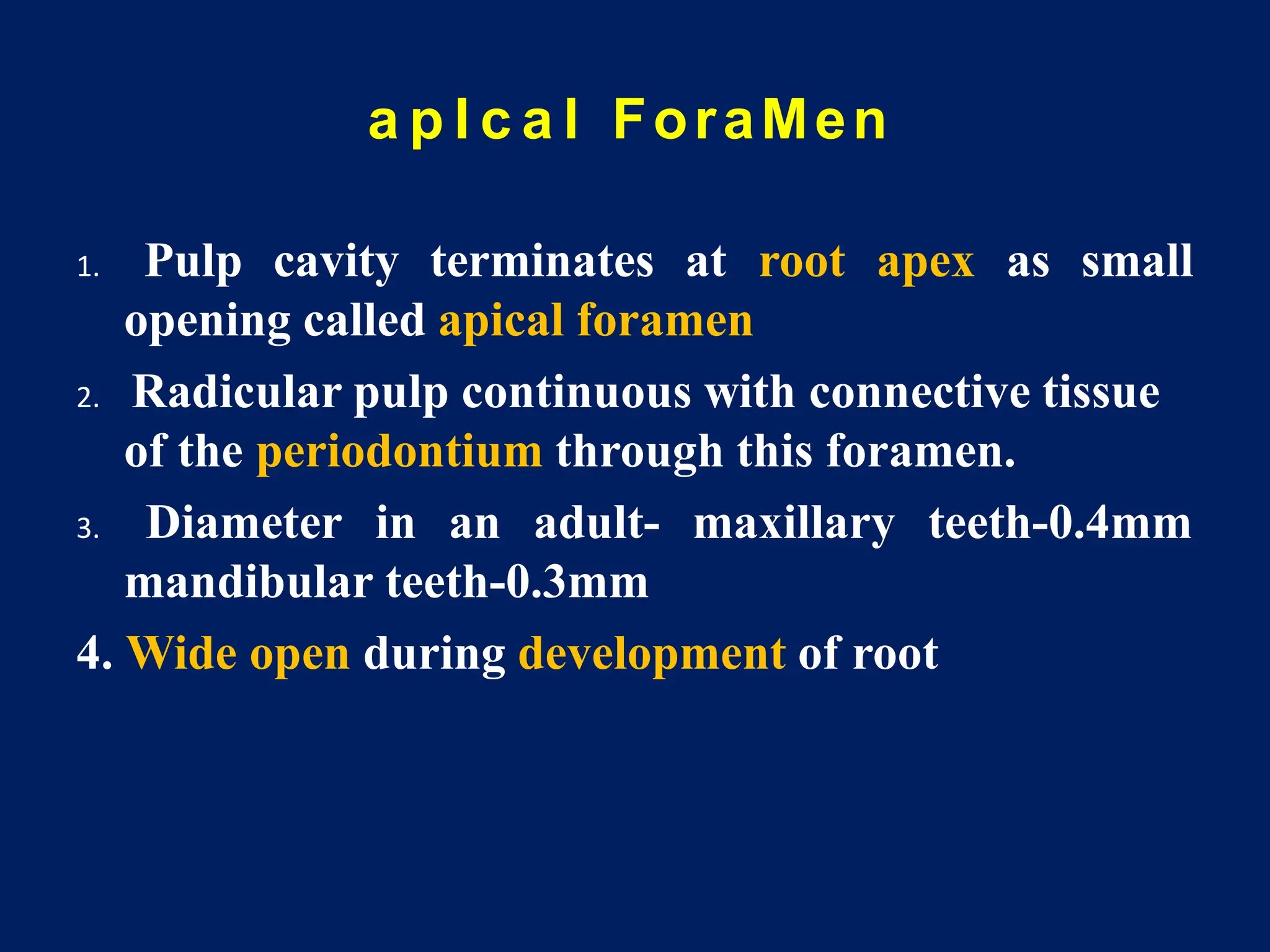 lecture four dental pulp.pptx Oral histology | PPTX