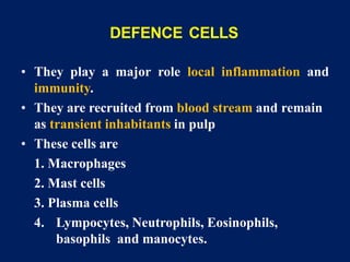 lecture four dental pulp.pptx Oral histology | PPTX