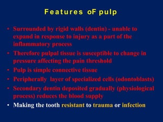lecture four dental pulp.pptx Oral histology | PPTX | Dental Health ...