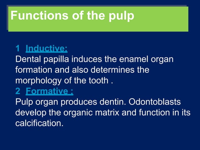 lecture four dental pulp.pptx Oral histology | PPTX | Dental Health ...