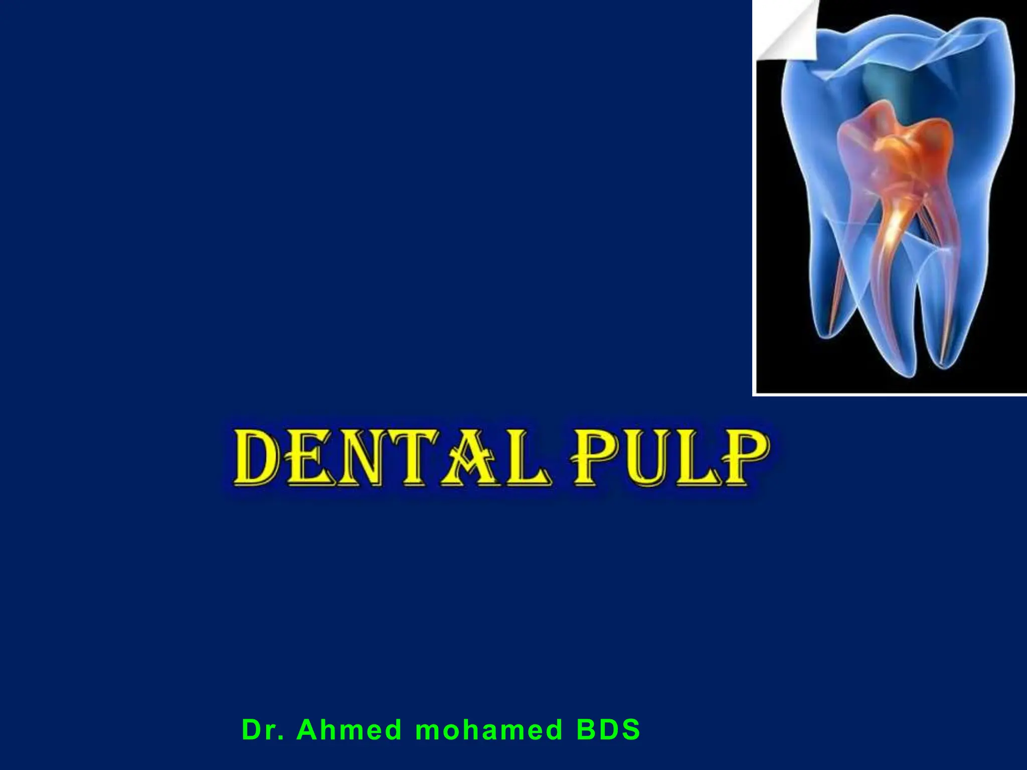 lecture four dental pulp.pptx oral histology | PPTX