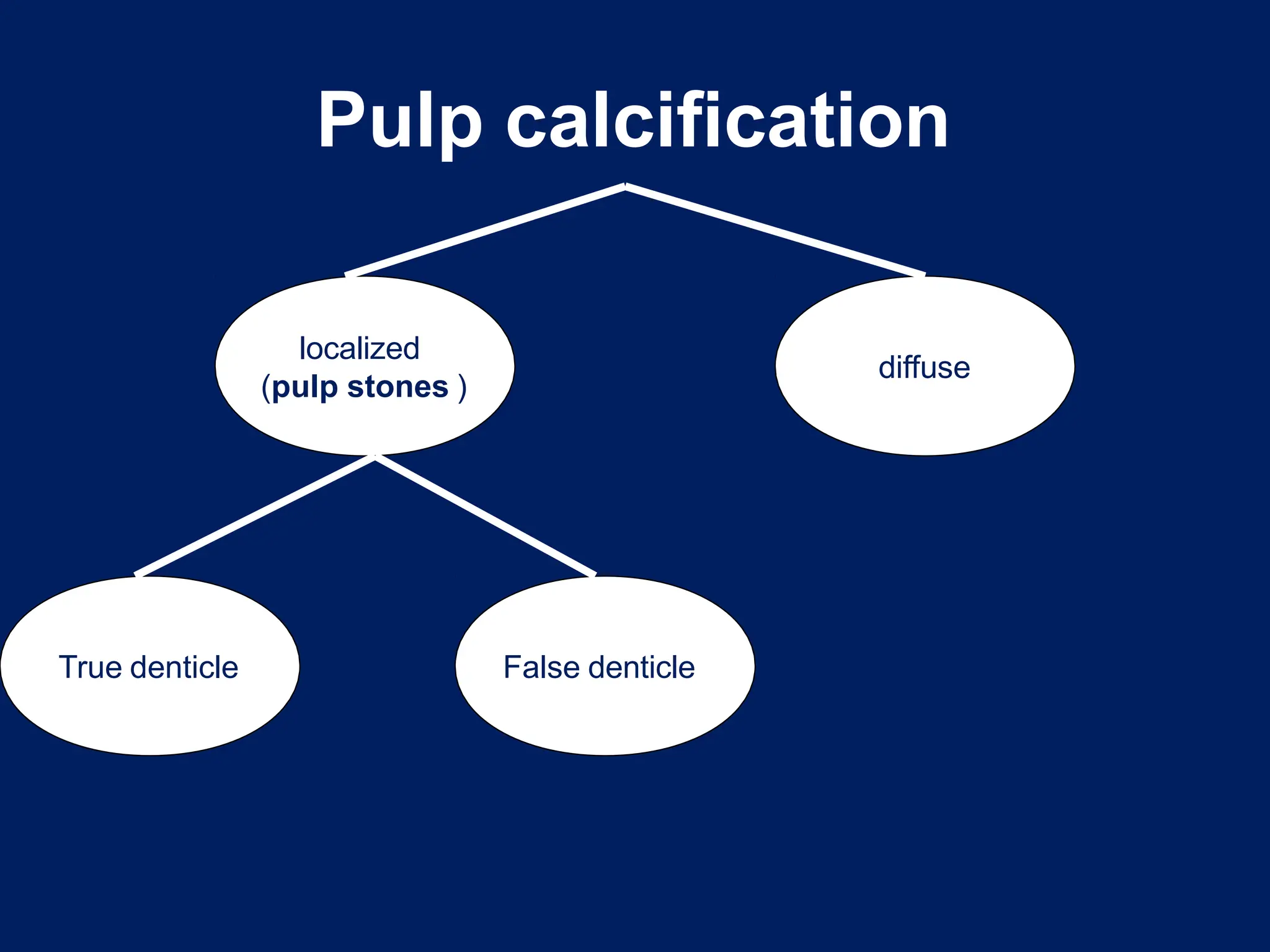 lecture four dental pulp.pptx oral histology | PPTX