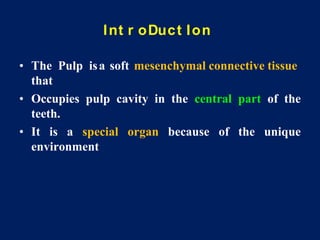 lecture four dental pulp.pptx oral histology | PPTX