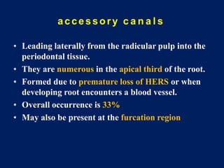 lecture four dental pulp.pptx oral histology | PPTX