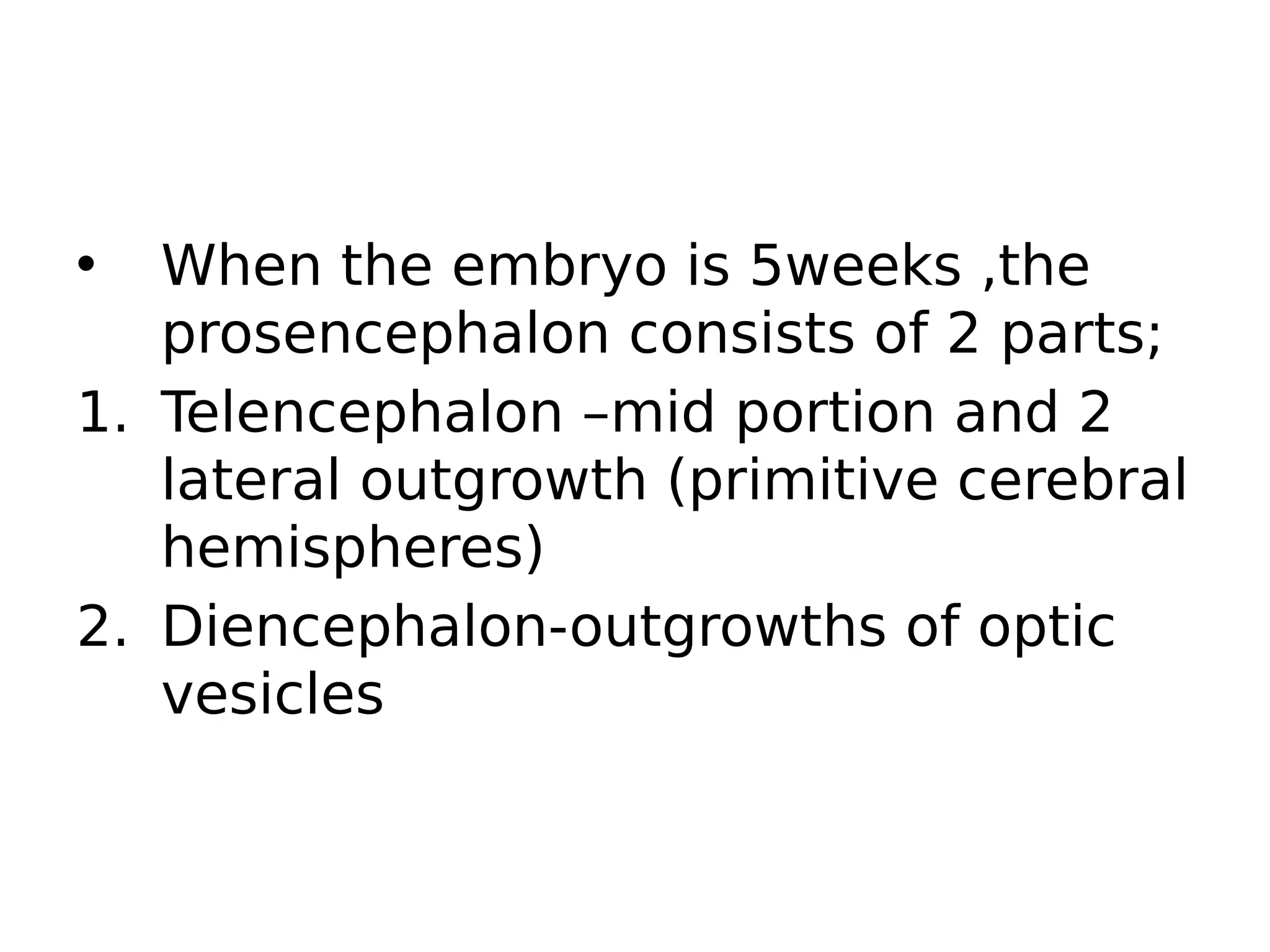 Lecture fourteen neuroanatomy, Embryology of the CNS.pdf