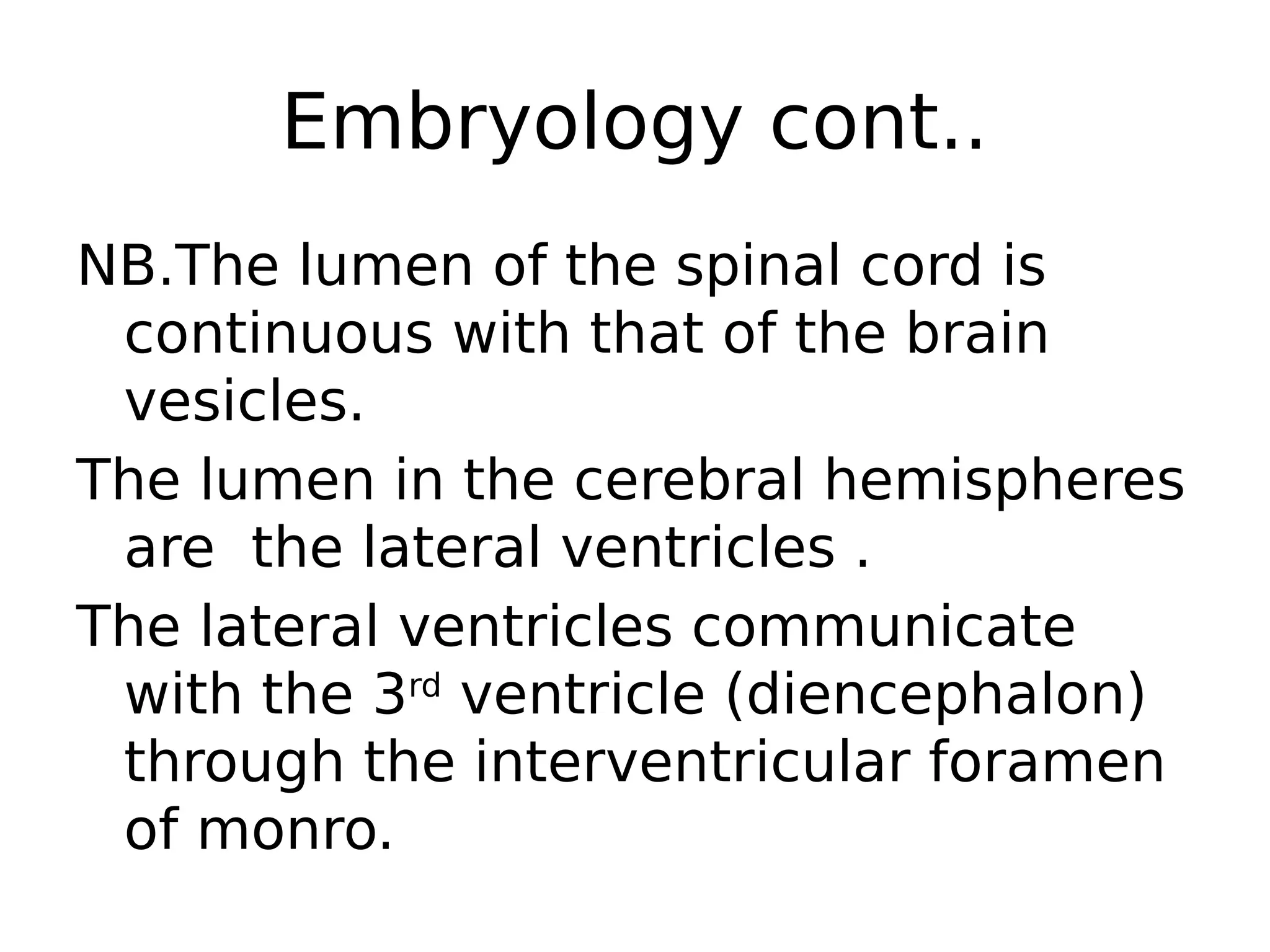 Lecture fourteen neuroanatomy, Embryology of the CNS.pdf