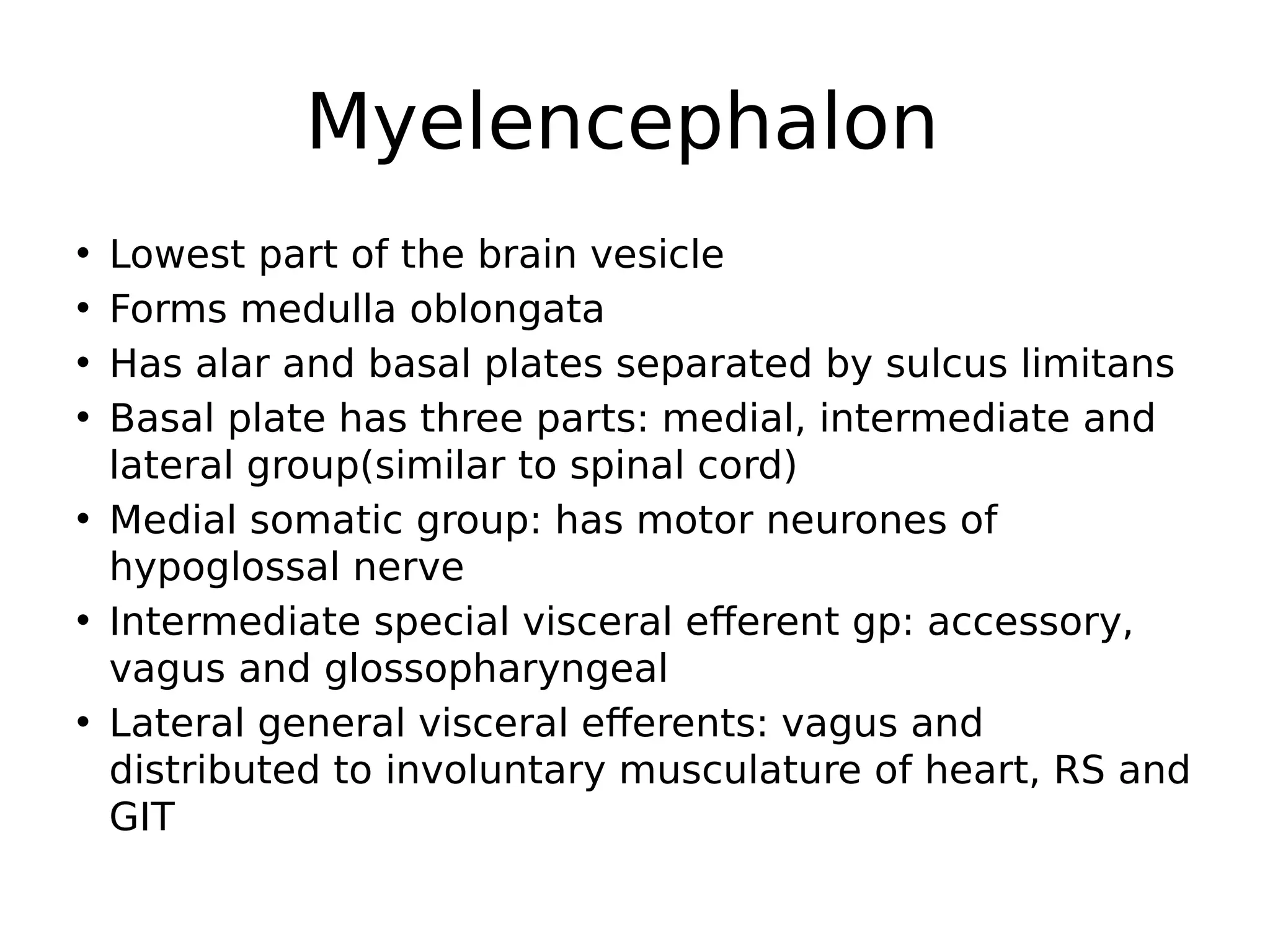 Lecture fourteen neuroanatomy, Embryology of the CNS.pdf