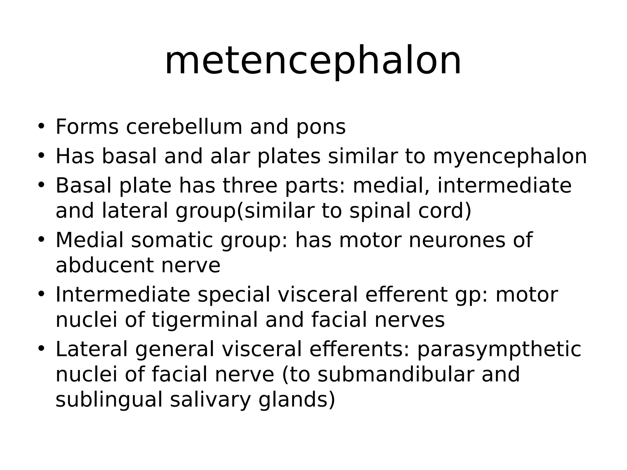 Lecture fourteen neuroanatomy, Embryology of the CNS.pdf