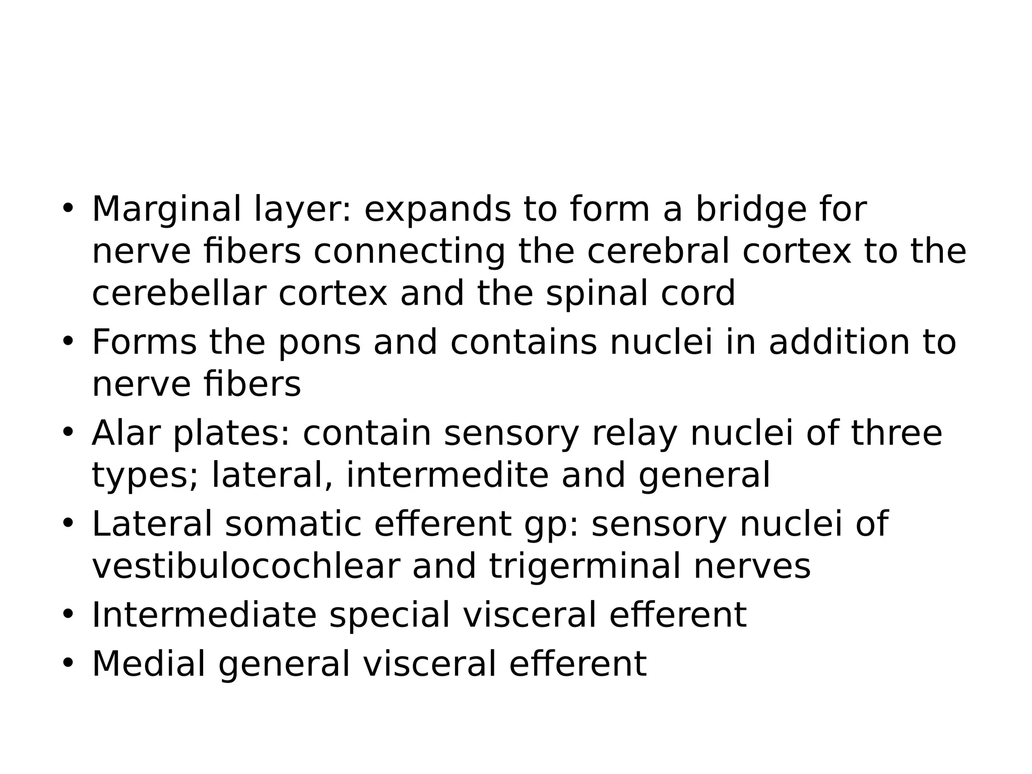Lecture fourteen neuroanatomy, Embryology of the CNS.pdf