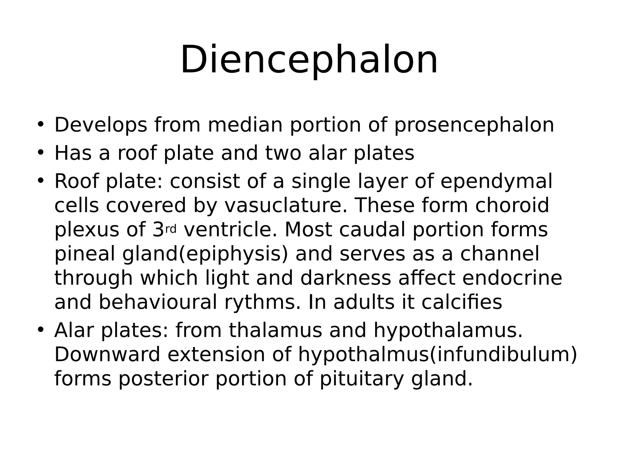 Lecture fourteen neuroanatomy, Embryology of the CNS.pdf