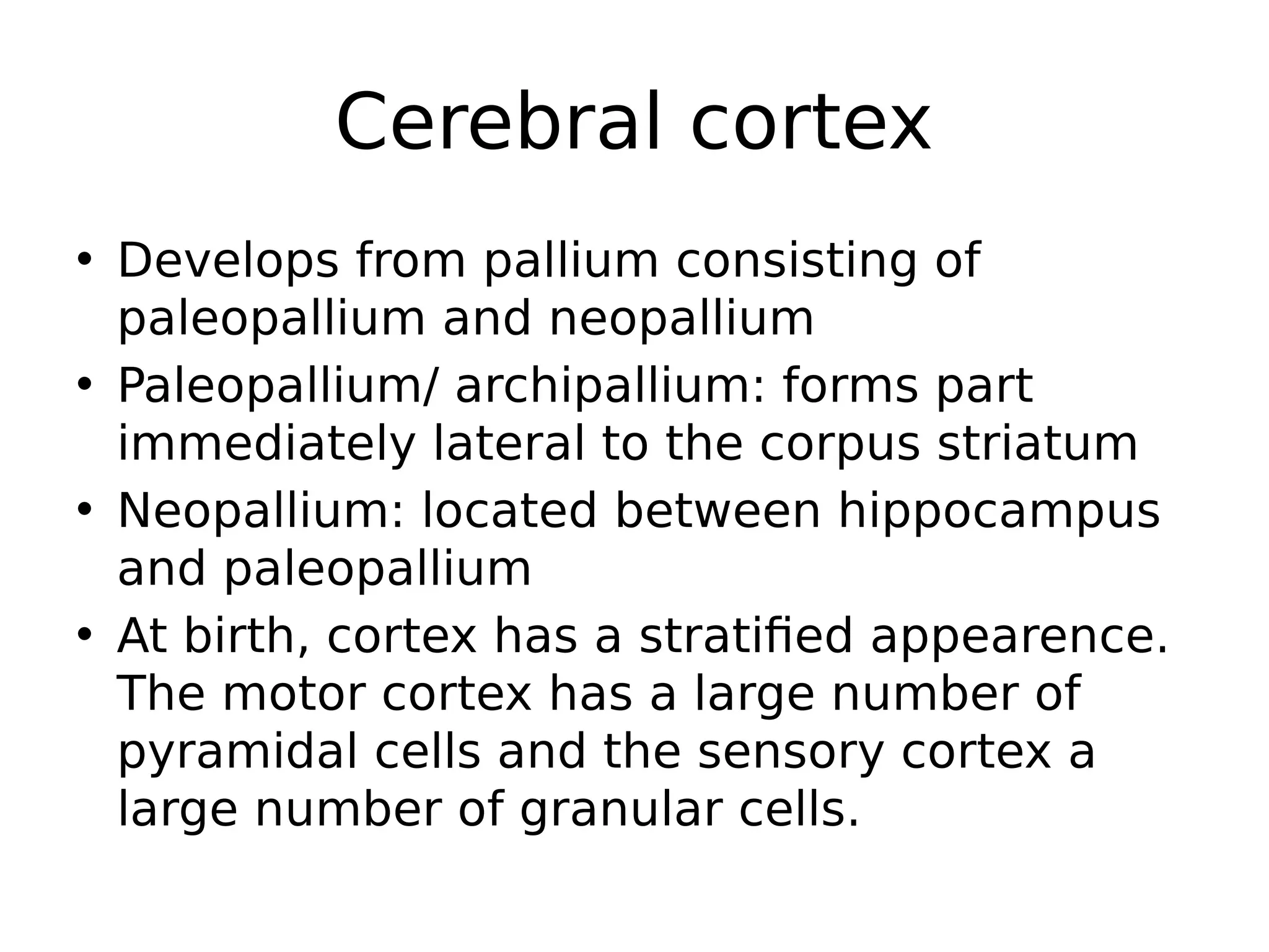 Lecture fourteen neuroanatomy, Embryology of the CNS.pdf
