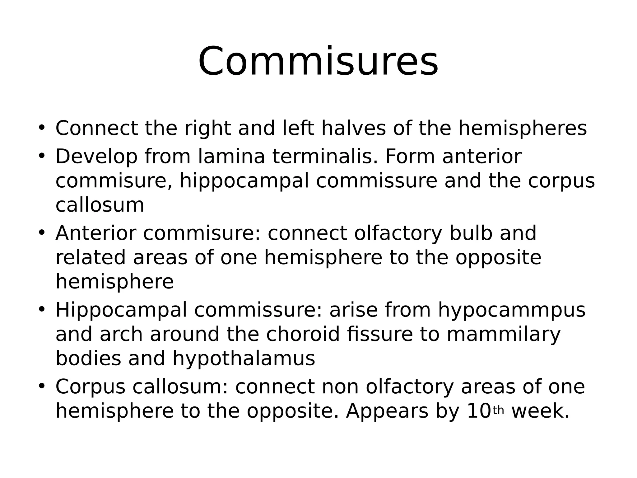 Lecture fourteen neuroanatomy, Embryology of the CNS.pdf