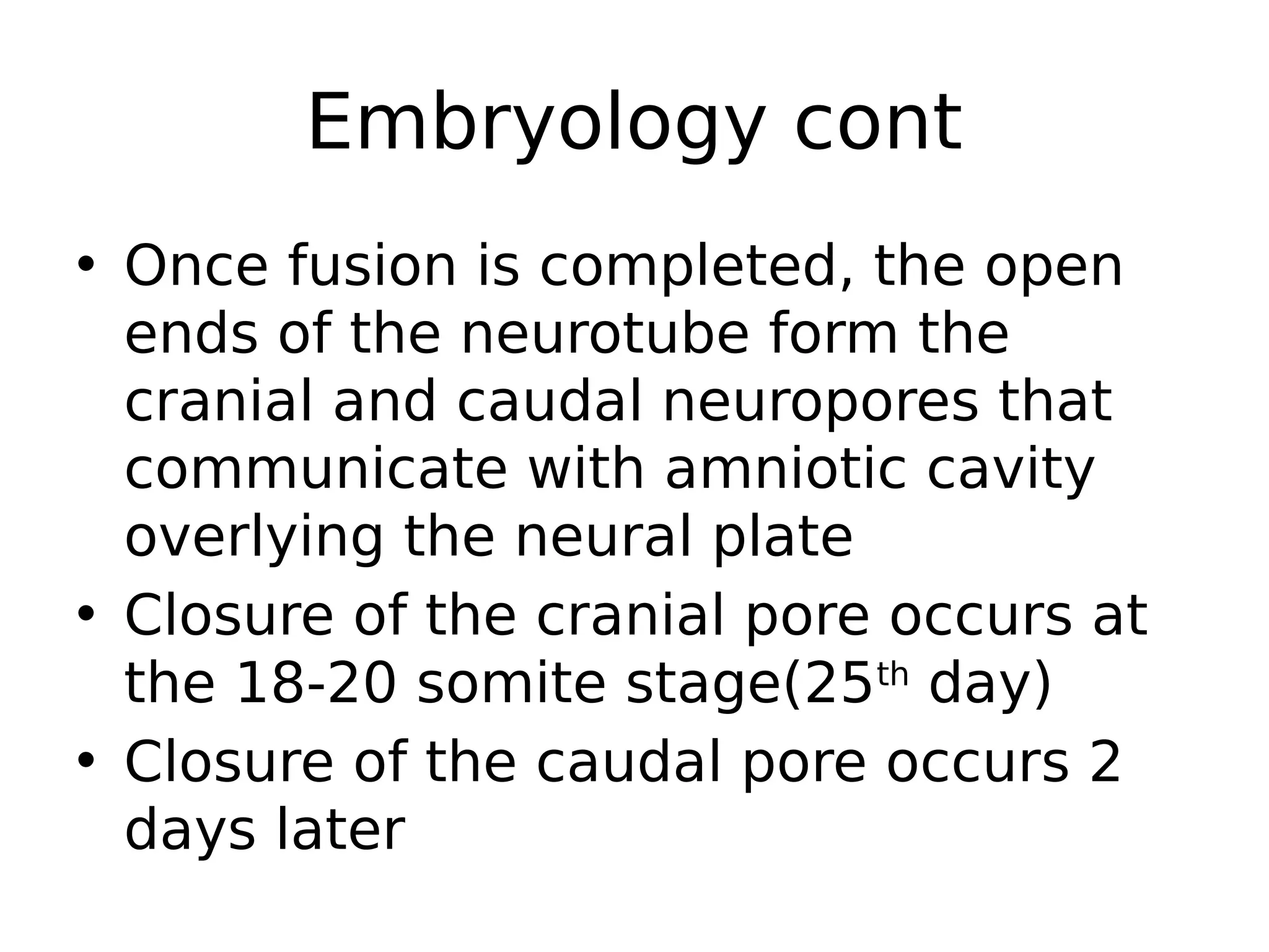 Lecture fourteen neuroanatomy, Embryology of the CNS.pdf