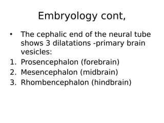 Lecture fourteen neuroanatomy, Embryology of the CNS.pdf