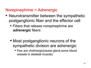 autonomic nervous system by DR.IFRA