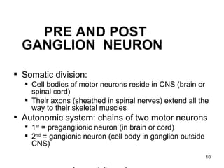 Lecture function autonomic nervous system | PPT