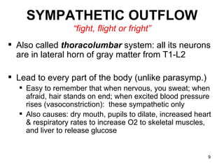 Lecture function autonomic nervous system | PPT