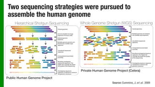 Basics of Genome Assembly | PDF