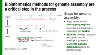 Basics of Genome Assembly | PDF
