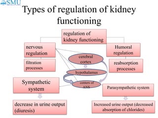 Lecture_GM_Regulation_of_urine_formation_and_urine_excretion_1.ppt