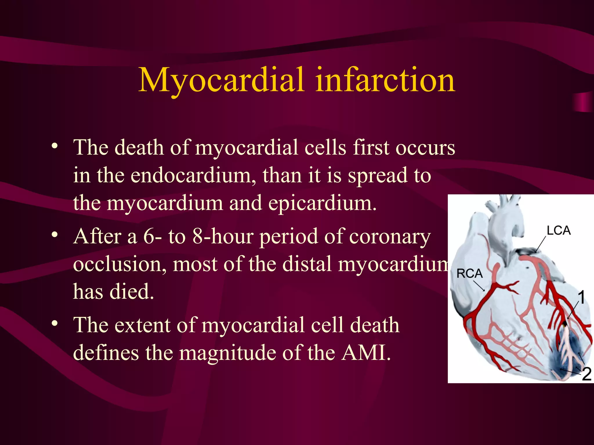 Heart pathology | PPT | Heart and Cardiovascular Diseases | Diseases ...
