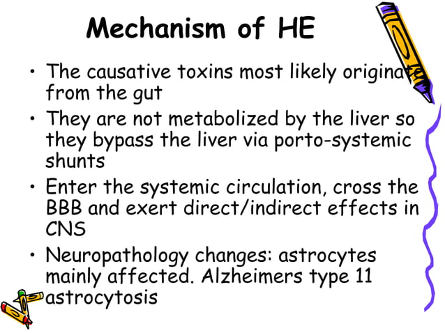 LECTURE HEPATIC ENCEPHALOPATHY for study.ppt