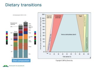 food systems dynamics | PPTX
