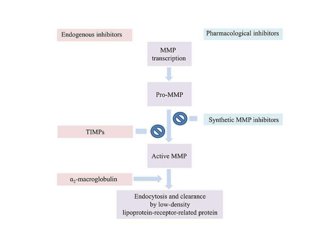 HOST MODULATION THERAPY:an advancement.pptx