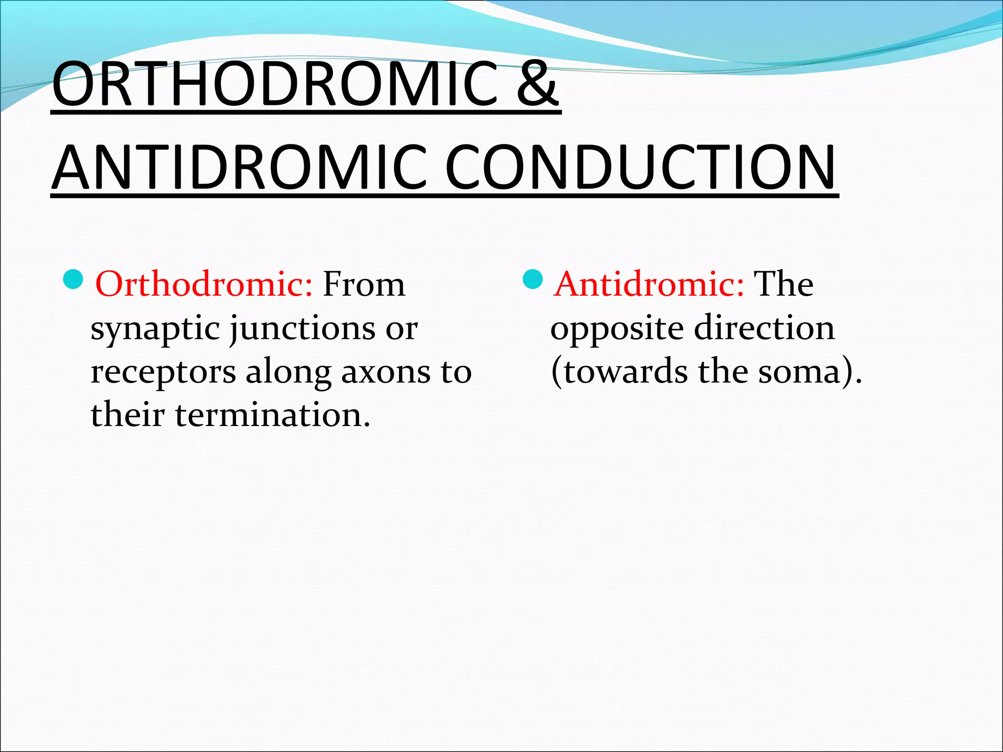 Nerve Muscle Physiology | PPT