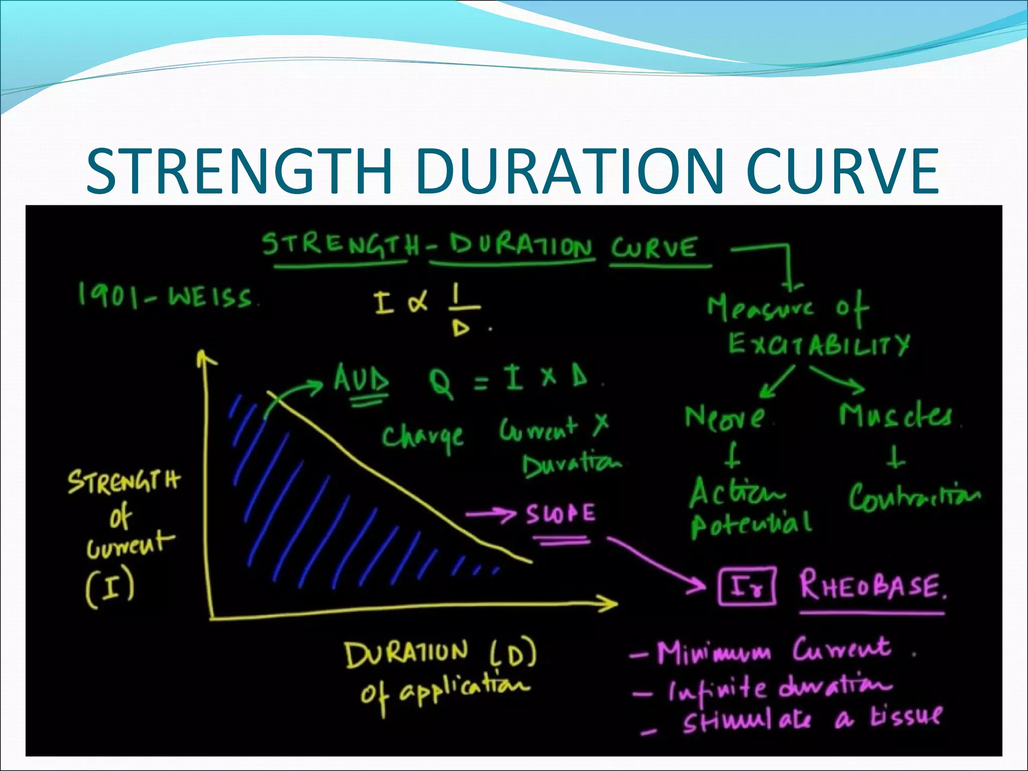 Nerve Muscle Physiology | PPT