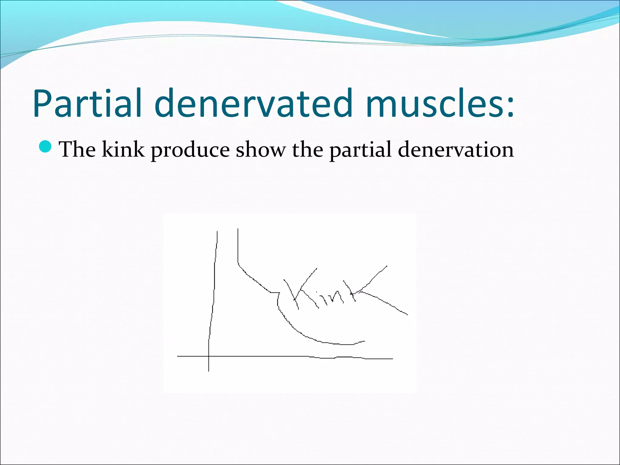 Nerve Muscle Physiology | PPT