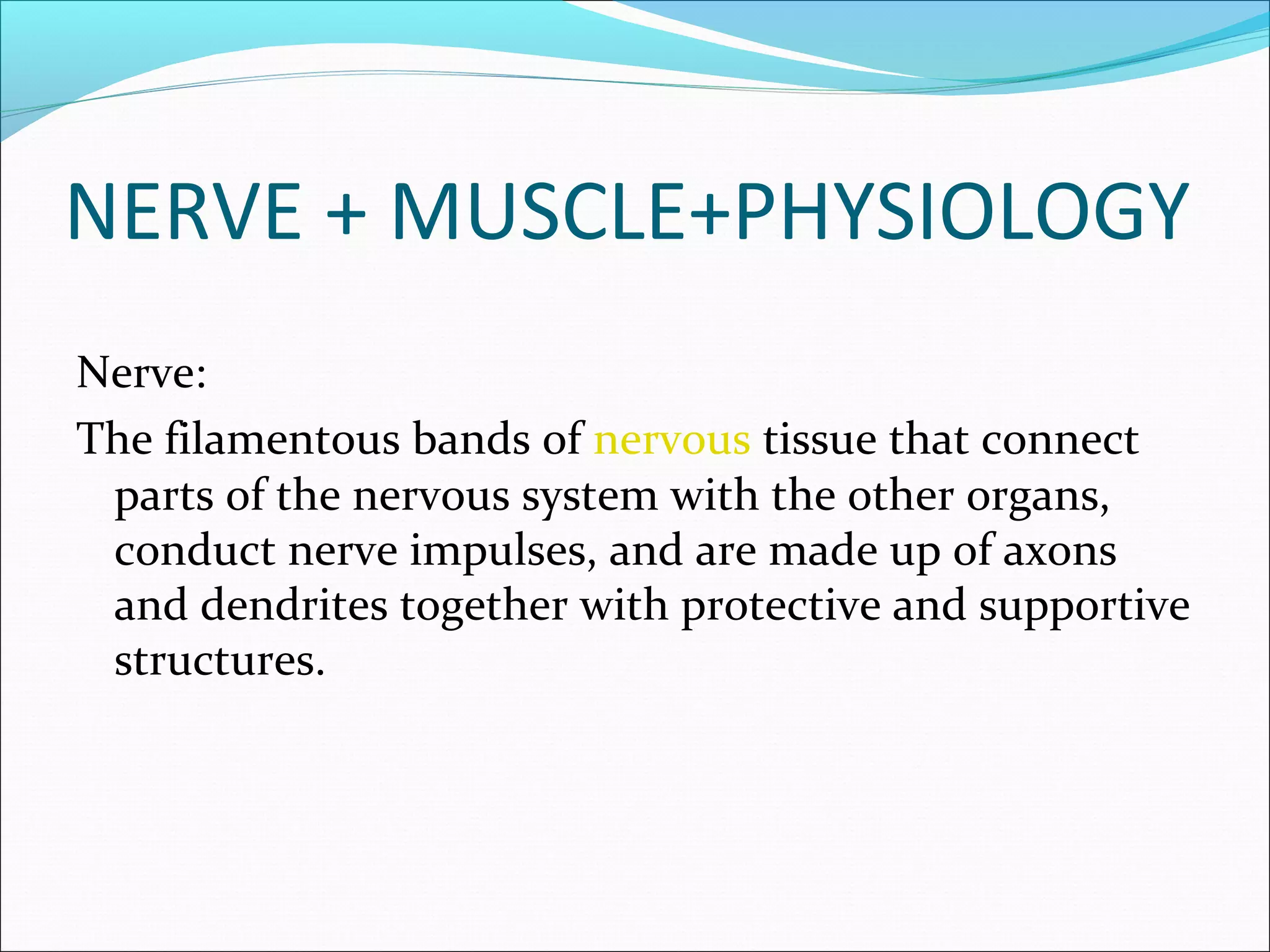 Nerve Muscle Physiology | PPT