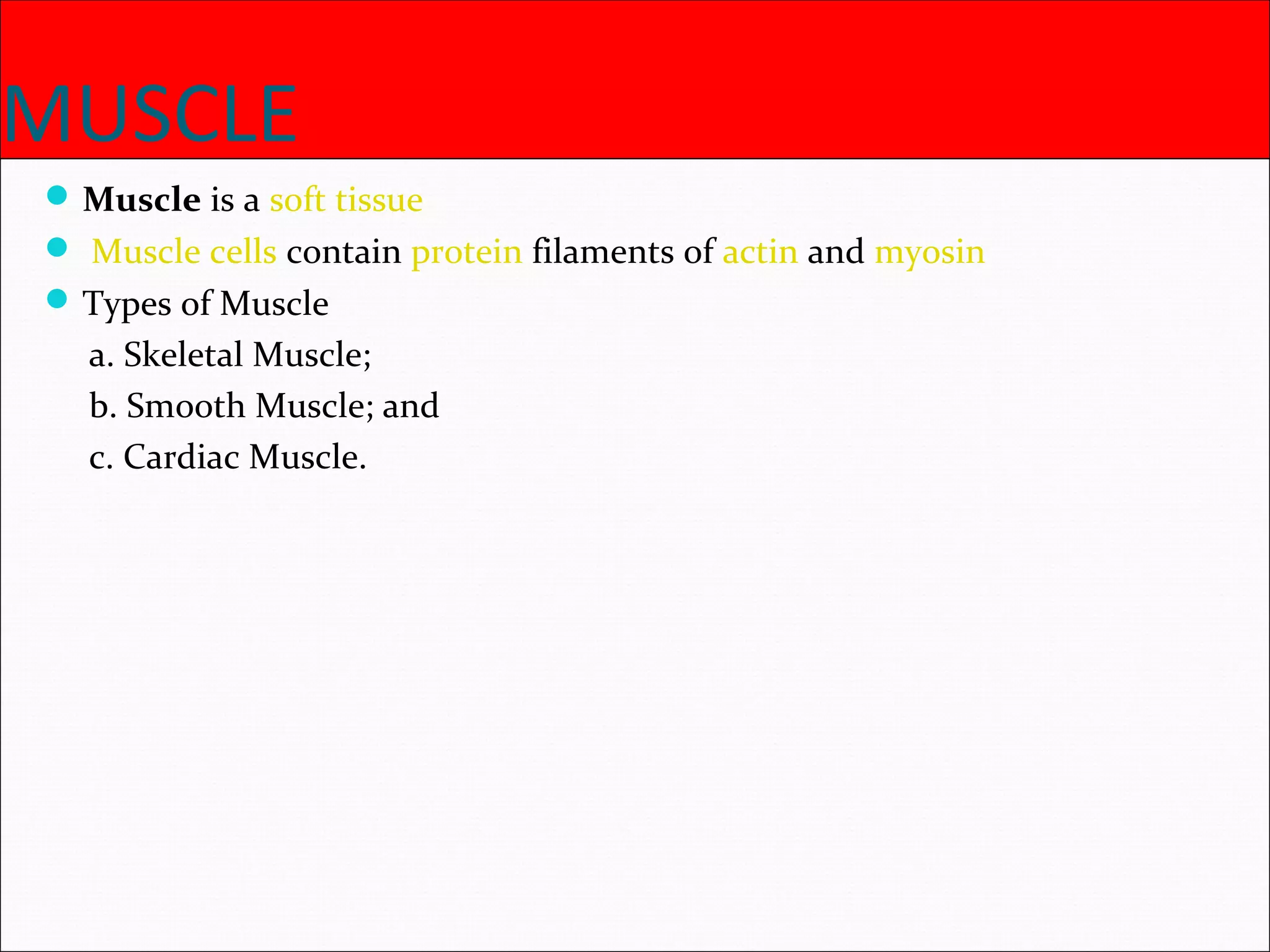 Nerve Muscle Physiology | PPT