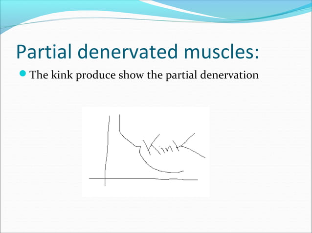 Nerve Muscle Physiology | PPT | Physical Therapy | Wellness