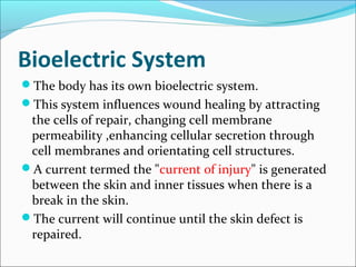 Nerve Muscle Physiology | PPT
