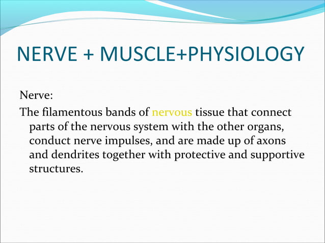 Nerve Muscle Physiology | PPT | Physical Therapy | Wellness